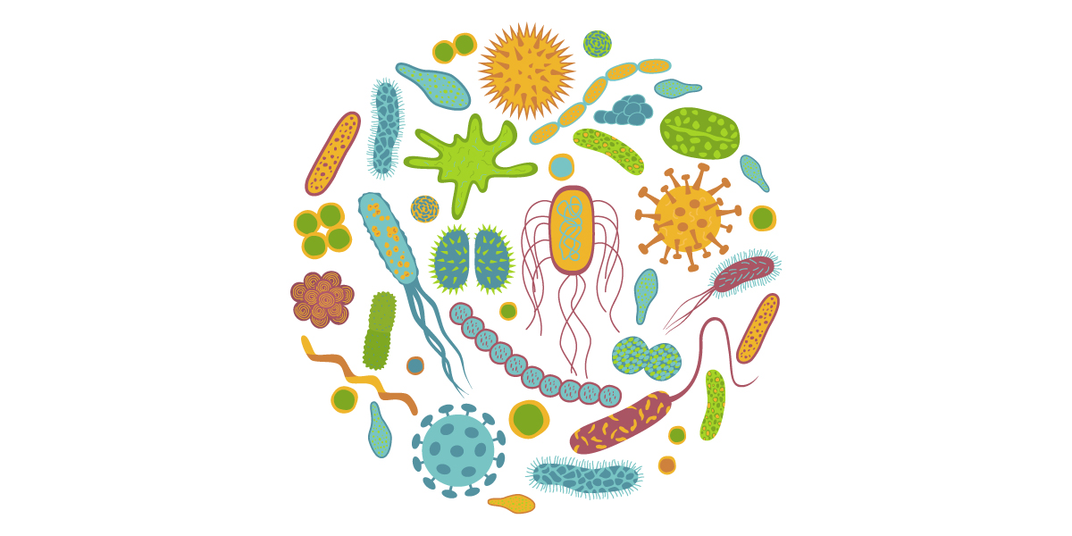 Highlights from the World of Microbiome 2020 virtual conference